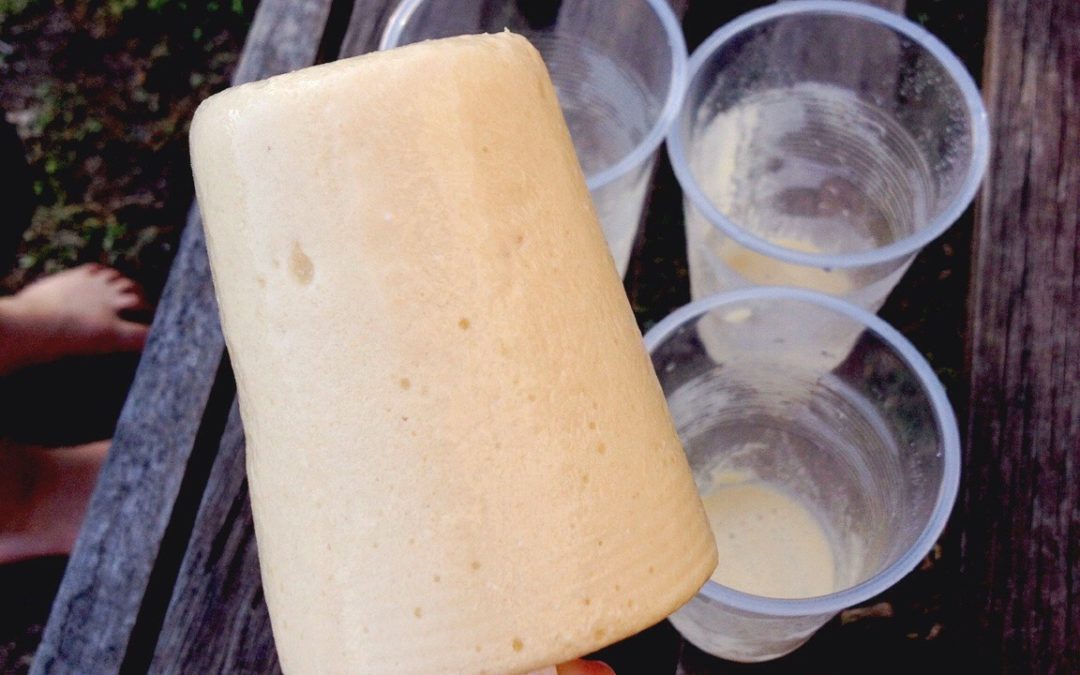 Mango Coconut Ice Blocks - Sam's Kitchen